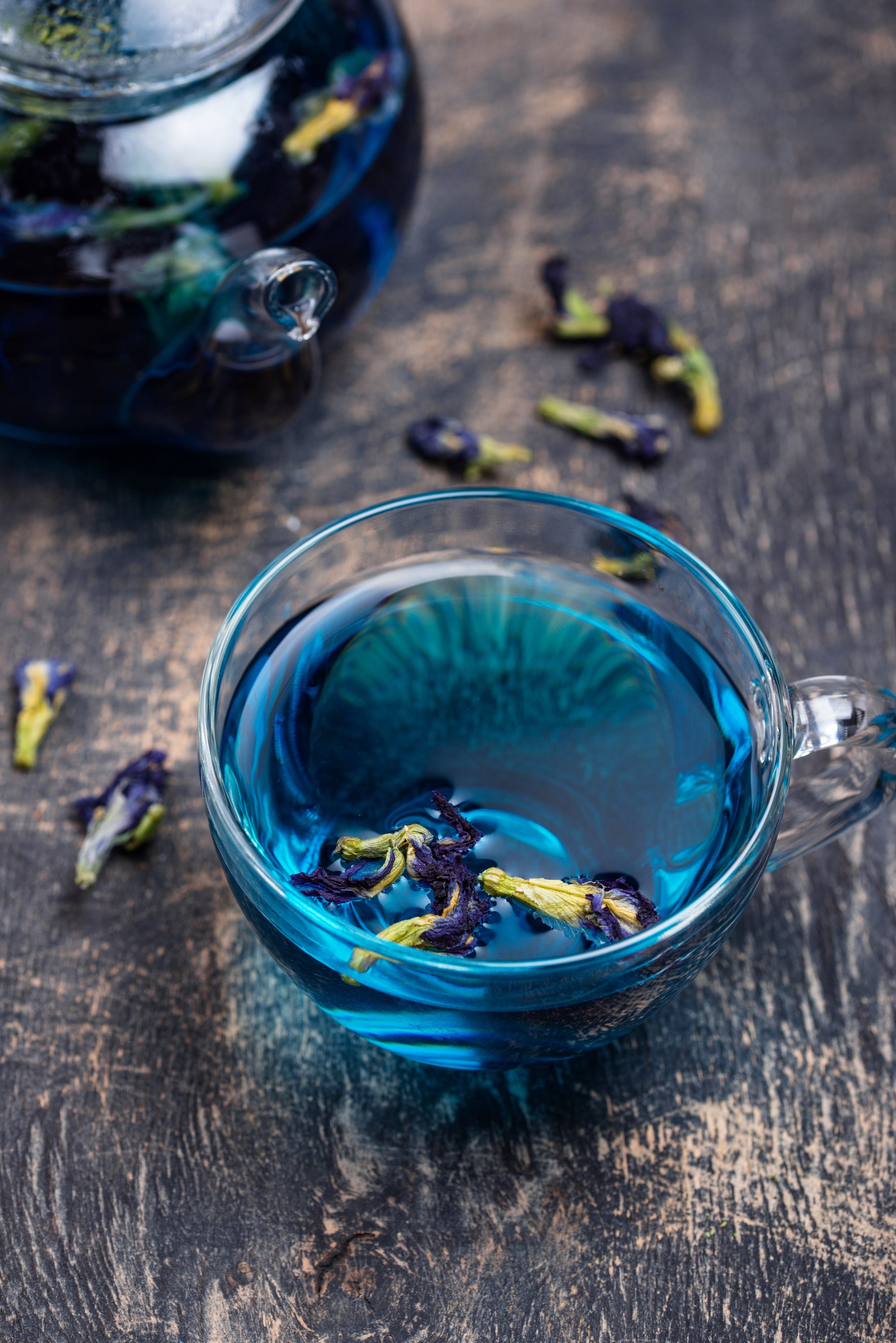 An Introduction to Blue Butterfly Pea Tea – 4leaftea