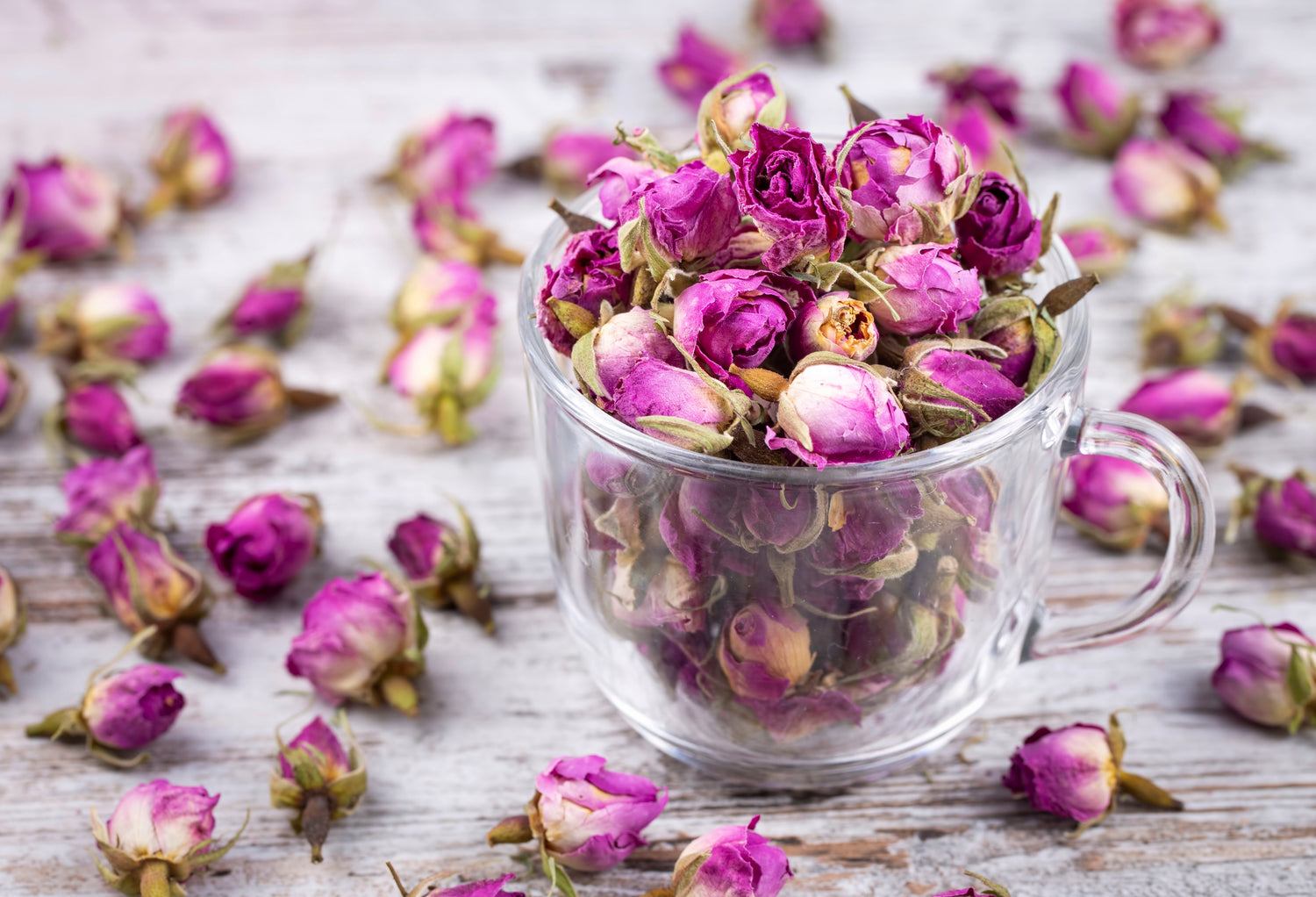 Rose Bud Flower Tea: An Elixir of Health and Flavor – 4leaftea